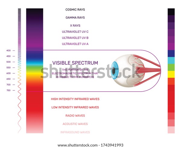 Prism Light Spectrum Infographics Vertical Color Stock Vector (Royalty ...