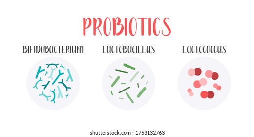 51 imágenes de Synbiotic icons - Imágenes, fotos y vectores de stock ...