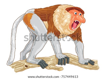 Proboscis Monkey Cartoon Detail Illustration Stock Vector (Royalty Free ...