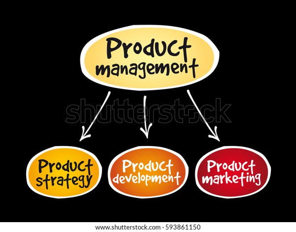 Product Management Mind Map Business Concept Stock Vector (Royalty Free ...