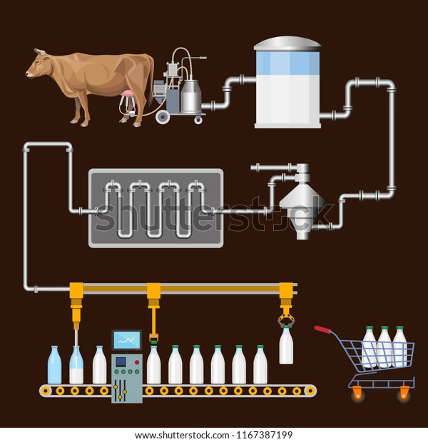 Production Stages Processing Milk Vector Illustration Stock Vector ...