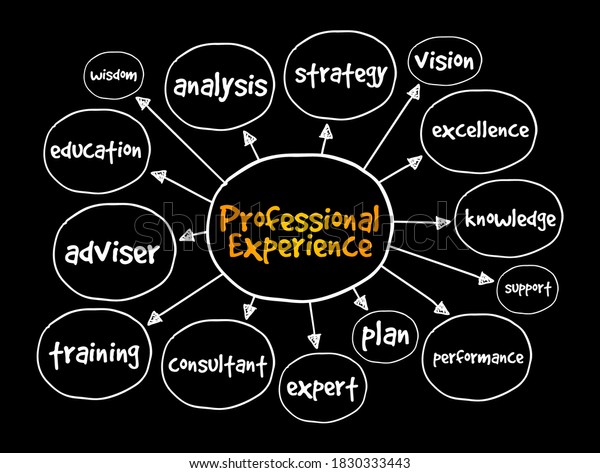 Professional Experience Mind Map Business Concept Stock Vector (Royalty ...