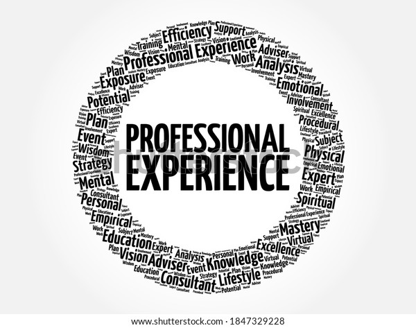 Professional Experience Word Cloud Collage Business Stock Vector ...