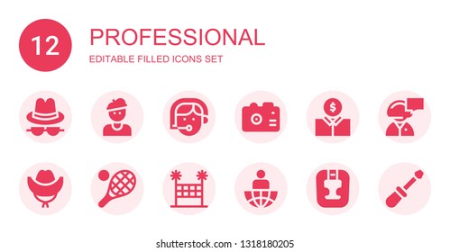 Professional Icon Set Collection 12 Filled Stock Vector (Royalty Free ...