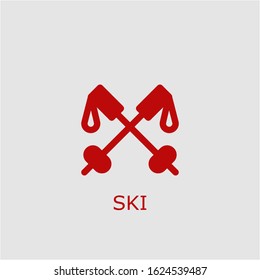 Professional Vector Ski Icon Ski Symbol Stock Vector (Royalty Free ...