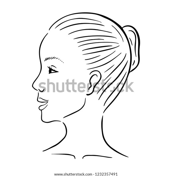 Profile Face Young Woman Vector Illustration Stock Vector (Royalty Free ...