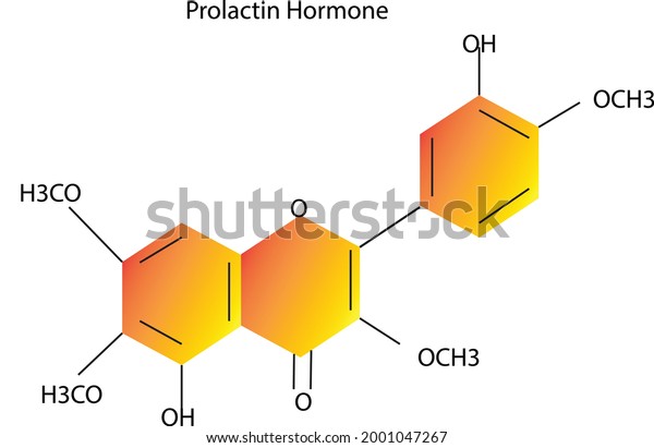 La hormona prolactina, una hormona fabricada por la hipófisis en el ...