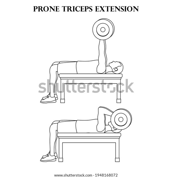 Prone Triceps Extension Vector Illustration Outline Stock Vector ...