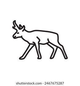 5,519 Pronghorn Images, Stock Photos, 3D objects, & Vectors | Shutterstock
