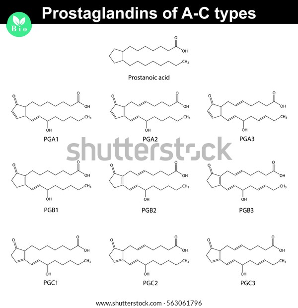 Prostaglandins B C Types Chemical Structures 스톡 벡터(로열티 프리) 563061796