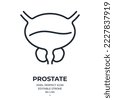 10,581 Prostate Anatomy Royalty-Free Images, Stock Photos & Pictures ...
