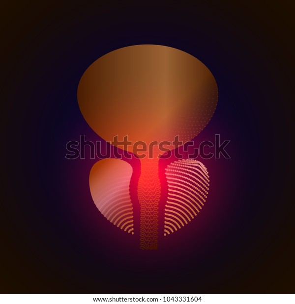 Prostate Point Pain Stylized Transition Real Stock Vector (Royalty Free ...