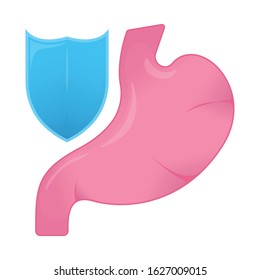 Protect Stomach Concept Icon Label Health Stock Vector (Royalty Free ...