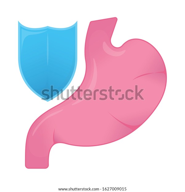 Protect Stomach Concept Icon Label Health Stock Vector (Royalty Free ...