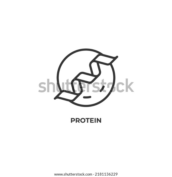 Protein Line Icon Linear Style Sign Stock Vector (Royalty Free ...