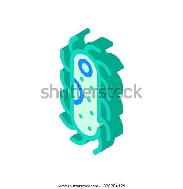 Protozoa Malaria Isometric Icon Vector Protozoa Stock Vector (Royalty ...