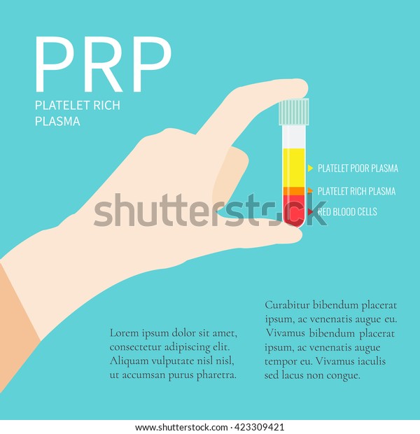 Prp Poster Place Text Hand Holding Stock Vector (Royalty Free) 423309421