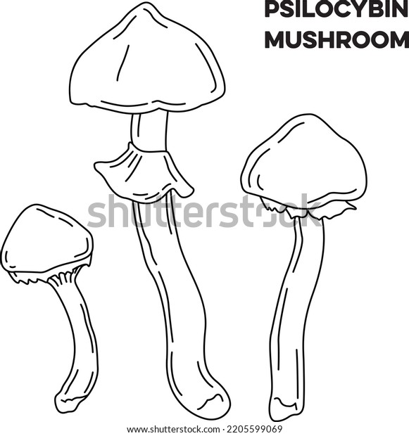 Psilocybin Mushroom Black Outline Vector Drawing Stock Vector (Royalty ...