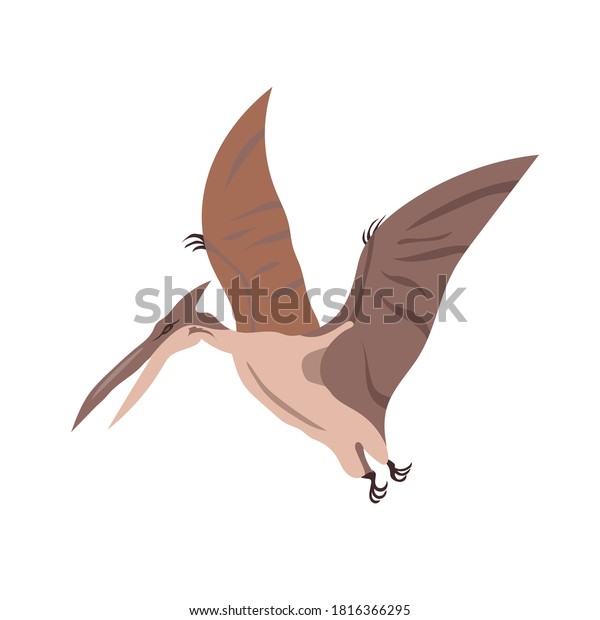 Pterodactyl Flying Dinosaur Drawing Vector Illustration Stock Vector ...