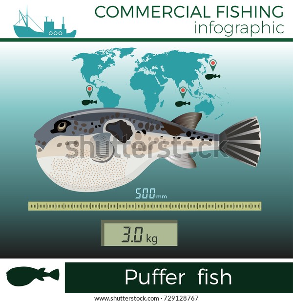 Puffer Fish Vector Illustration Isolated On Stock Vector (Royalty Free ...