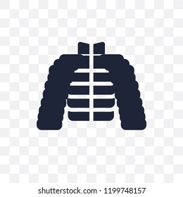 Puffer Jacket Transparent Icon Puffer Jacket Stock Vector (Royalty Free ...