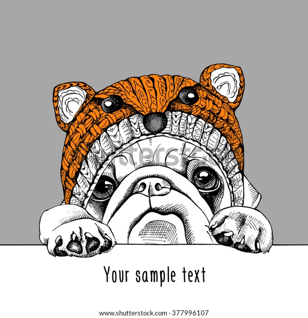 Pug Fox Muzzle Hat Vector Illustration Stock Vector (Royalty Free ...