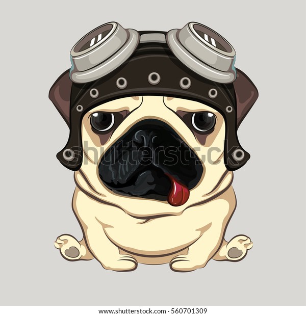Pug Hat Stock Vector (Royalty Free) 560701309