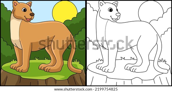 Puma Animal Coloring Page Colored Illustration Stock Vector (Royalty ...