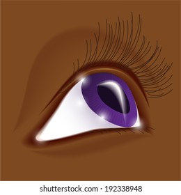 Purple Human Eye Closeup Stock Vector (Royalty Free) 192338948 ...