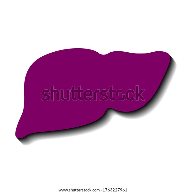 Purple Liver On White Background Black Stock Vector (Royalty Free ...