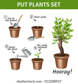4,728 Planting instructions Images, Stock Photos & Vectors | Shutterstock