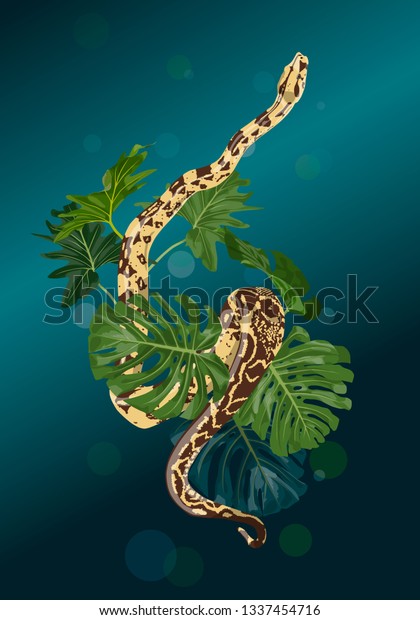 Python Monstera Philodendron Leaves Stock Vector (Royalty Free ...