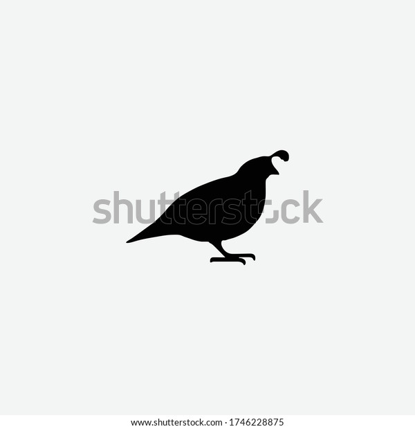 Quail Graphic Element Illustration Template Design Stock Vector ...