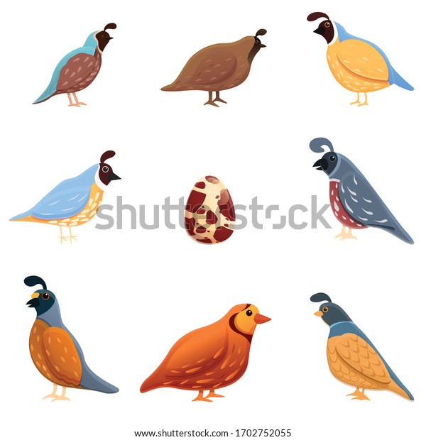 Quail Icons Set Cartoon Set Quail: vetor stock (livre de direitos ...