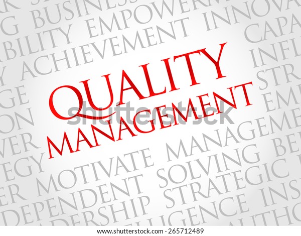 Quality Management Word Cloud Business Concept Stock Vector (Royalty ...