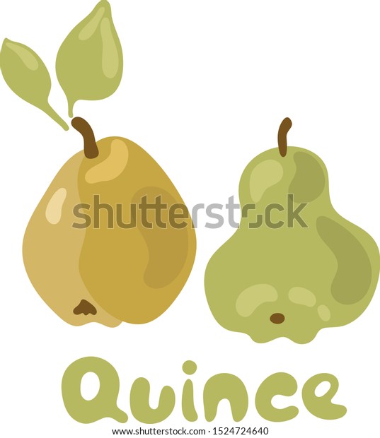 Quince Leaves Icon Vector Illustration Quince Stock Vector (Royalty ...
