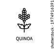 98+ Thousand Quinoa Royalty-Free Images, Stock Photos & Pictures ...