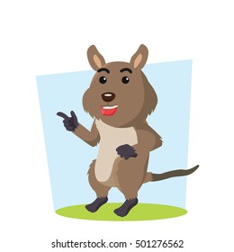 Quokka Character Vector Illustration Design Stock Vector (Royalty Free ...