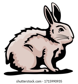 Rabbit Animal Cartoon Character Vector Illustration Stock Vector ...