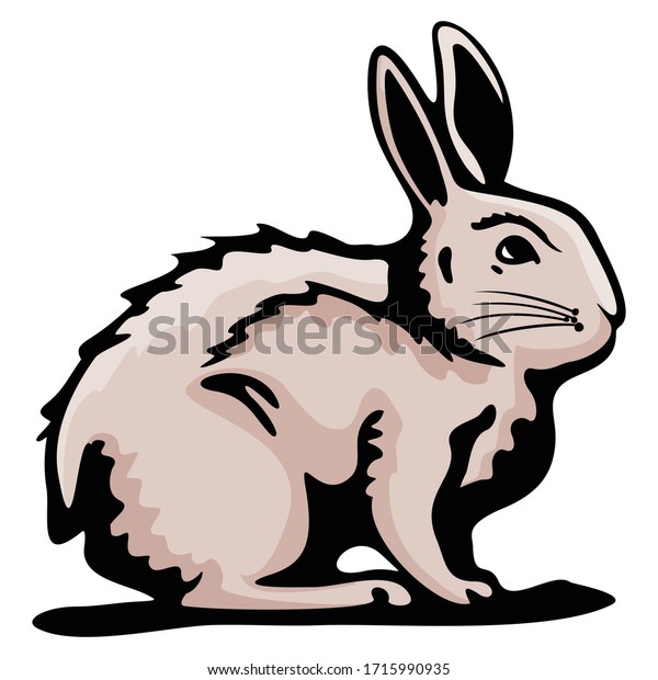 Rabbit Animal Cartoon Character Vector Illustration Stock Vector ...