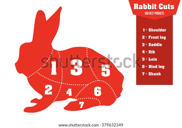 Rabbit Cuts Infographic Set Meat Parts Stock Vector (Royalty Free ...