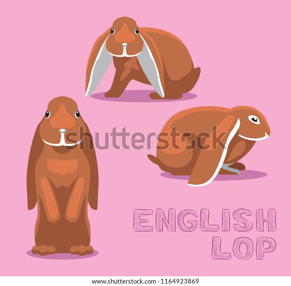Rabbit English Lop Cartoon Vector Illustration Stock Vector (Royalty ...