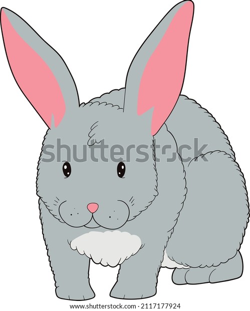 Rabbit Front View On White Background Stock Vector (Royalty Free ...