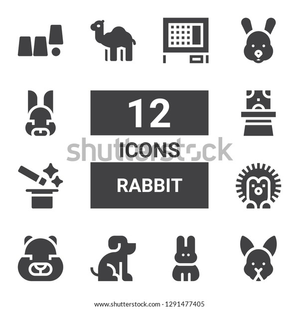 Rabbit Icon Set Collection 12 Filled Stock Vector (Royalty Free ...