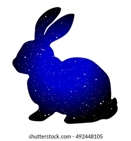 Rabbit Night Sky Beautiful Star Night Stock Vector (Royalty Free ...