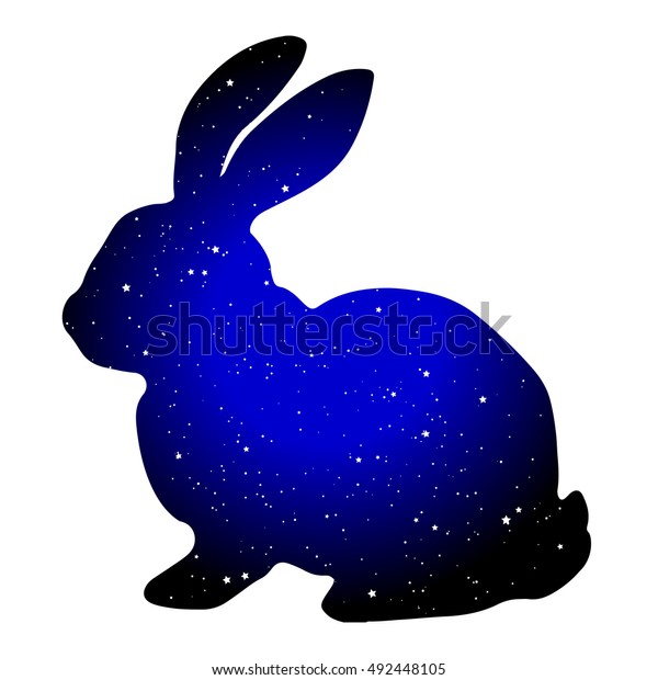 Rabbit Night Sky Beautiful Star Night Stock Vector (Royalty Free ...