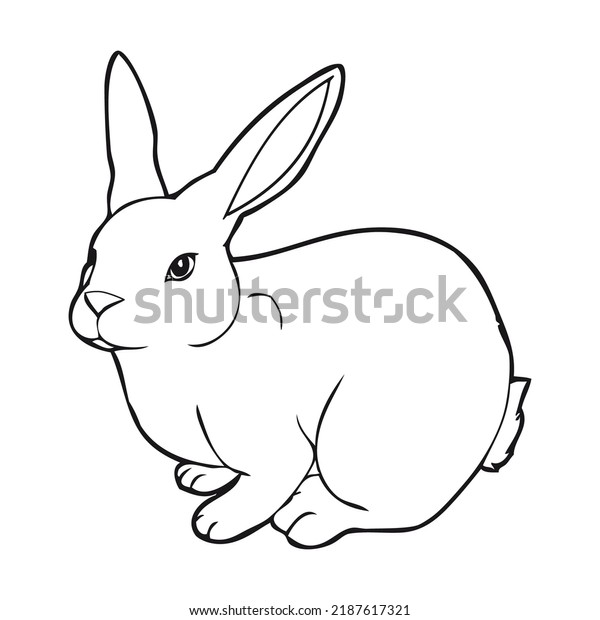 Rabbit Outline Vector Illustrationisolated On White: เวกเตอร์สต็อก ...