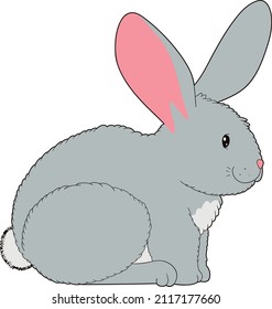 Rabbit Profile Sitting On White Background Stock Vector (Royalty Free ...