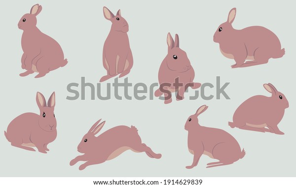 Rabbit Set Isolated On White Background Stock Vector (Royalty Free ...