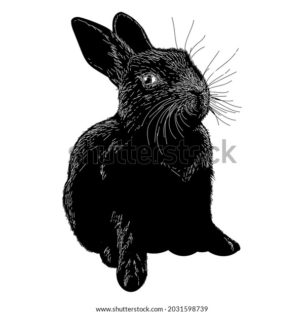 Rabbit Vector Drawing Illustration Vector Isolated Stock Vector ...